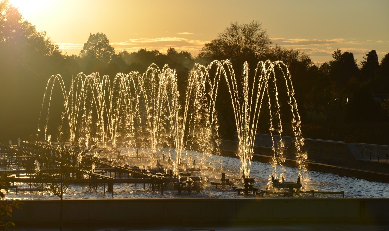 Golden Hour Photography | Longwood Gardens