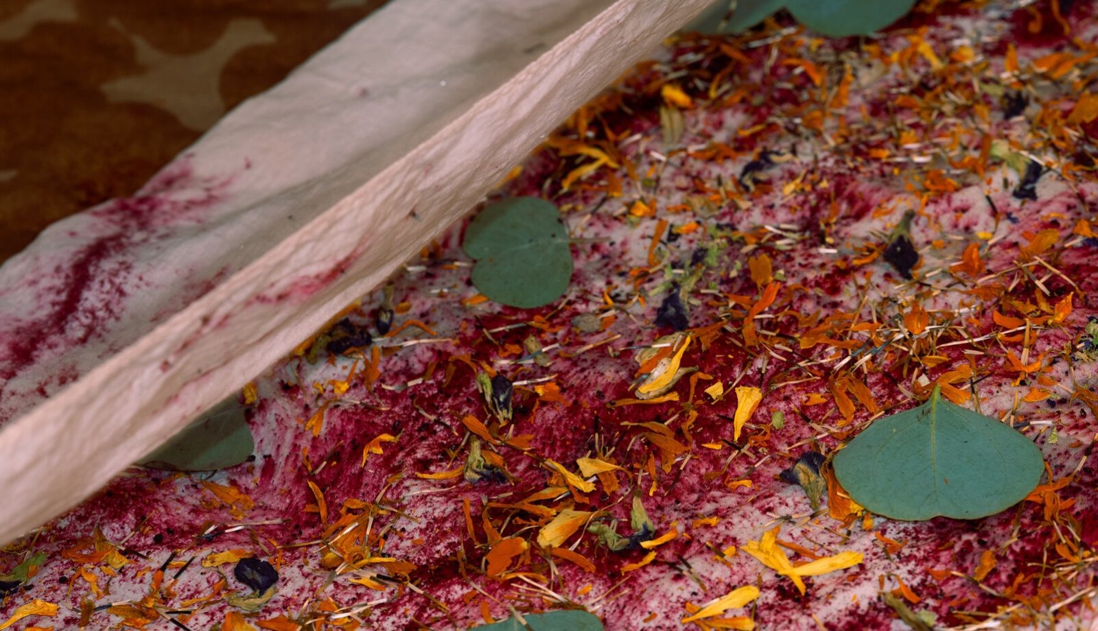 Natural Bundle Dyeing With Flowers and Kitchen Dyes | Longwood Gardens