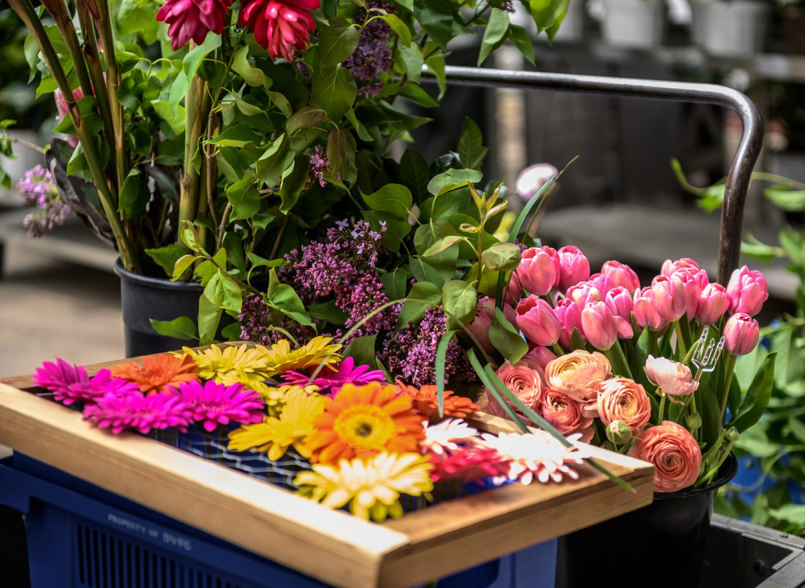 Art in Bloom: Vincent Van Gogh | Longwood Gardens