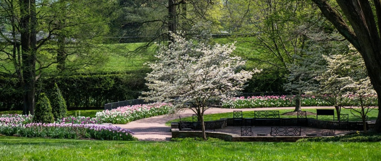 En Plein Air: Stunning Spring Scenes | Longwood Gardens
