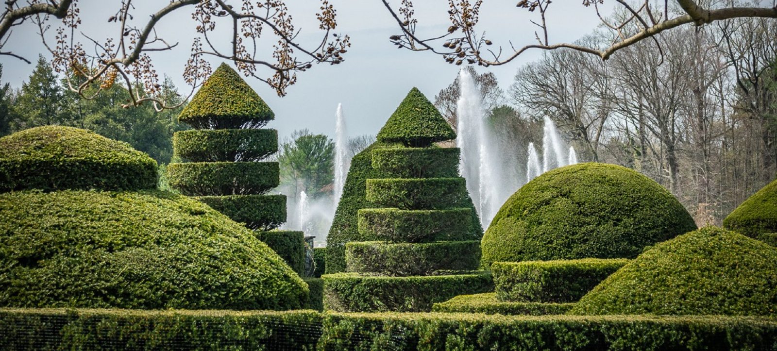 World Topiary Day | Longwood Gardens