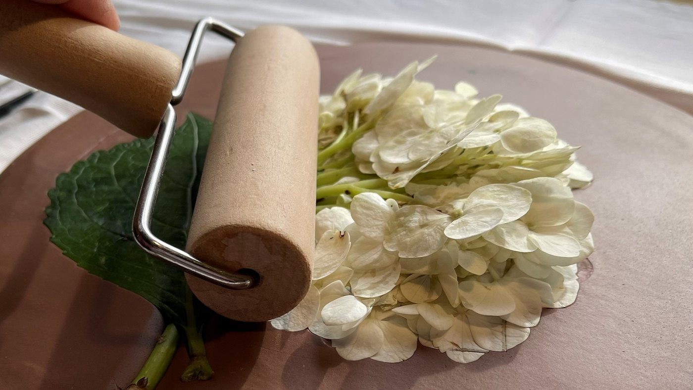 Plaster Cast Flowers | Longwood Gardens