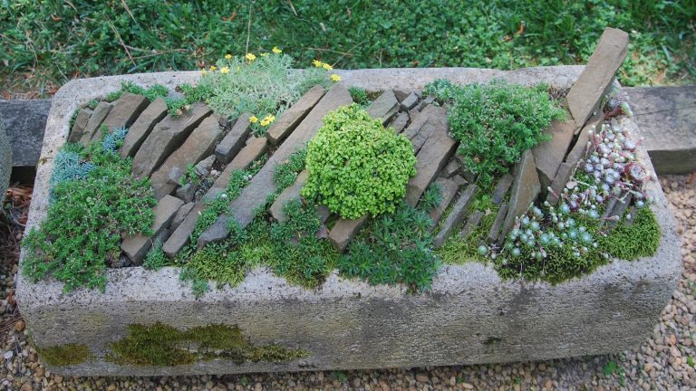 Crevice Garden Container Workshop | Longwood Gardens
