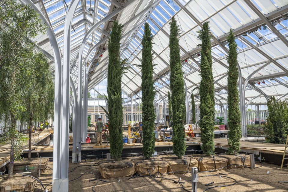Telling a Design Story: Planting the West Conservatory | Longwood Gardens