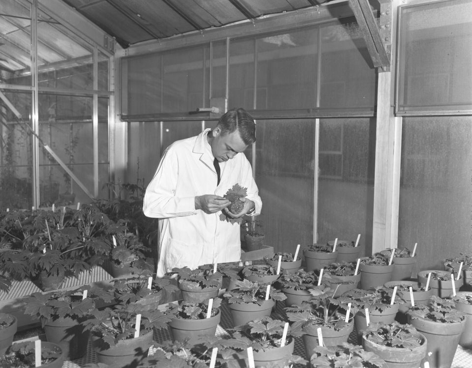 Longwood Science: Past, Present, and a Purposeful Future | Longwood Gardens