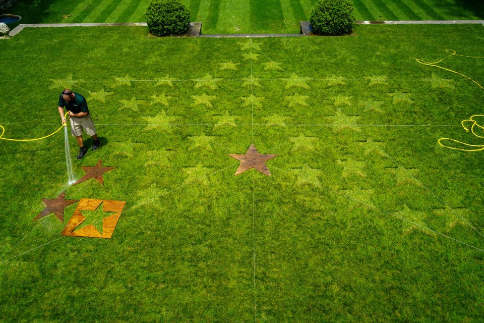 Bent into Shape | Longwood Gardens