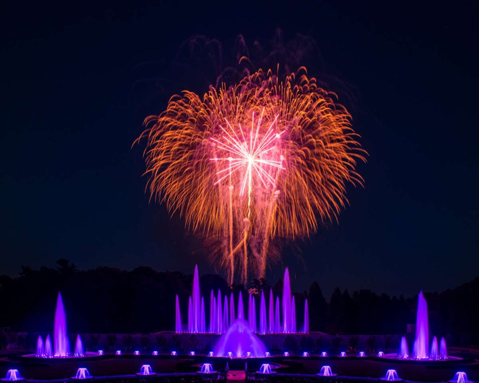 Flowers in the Sky | Longwood Gardens