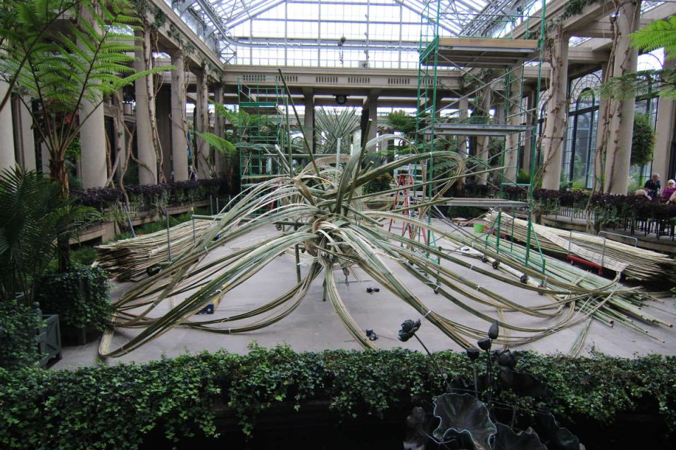 The Making of Blooms & Bamboo | Longwood Gardens