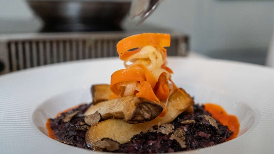 Fire and Ice, Made Delicious | Longwood Gardens