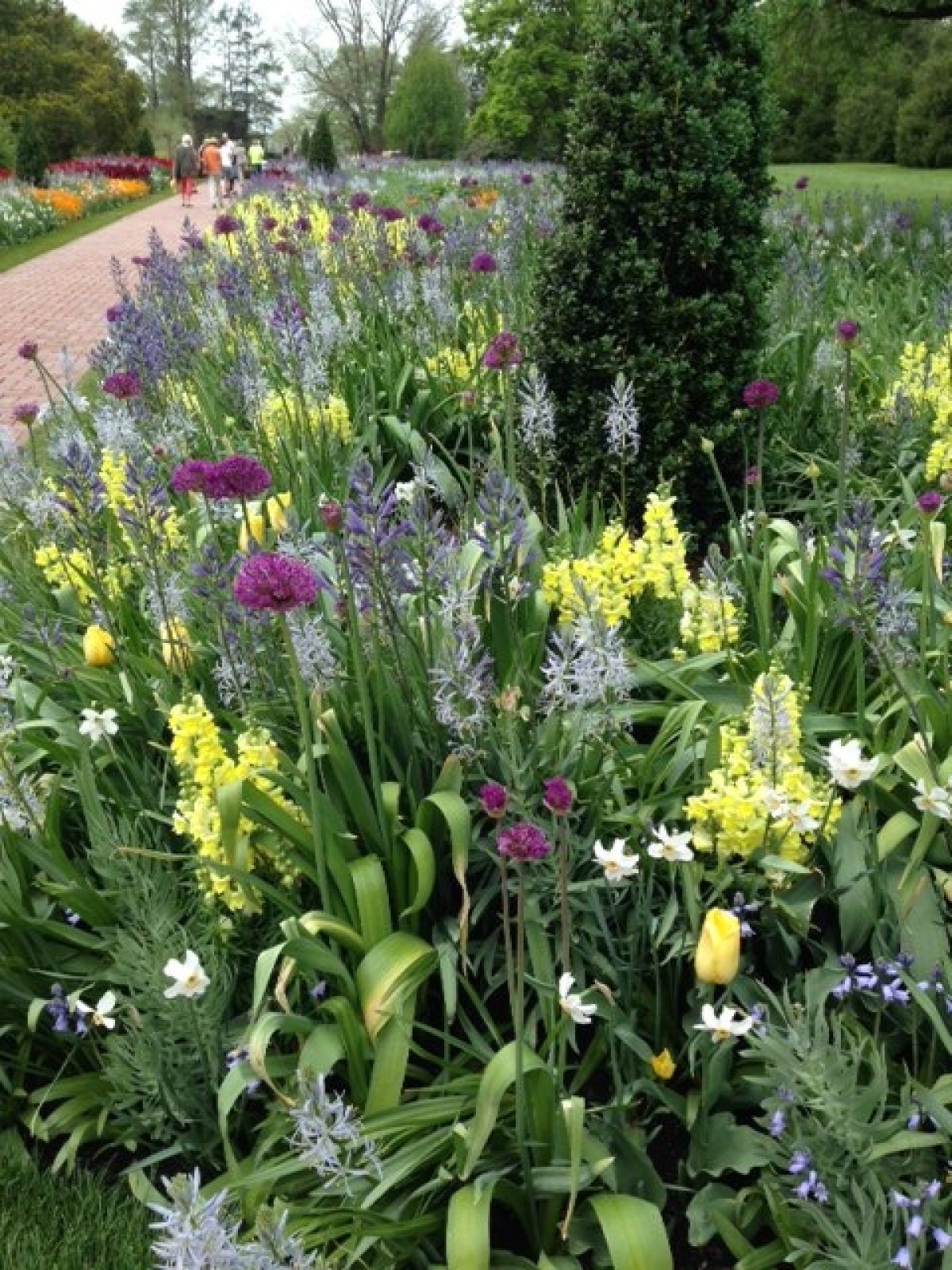 A Fresh Spring Mix | Longwood Gardens