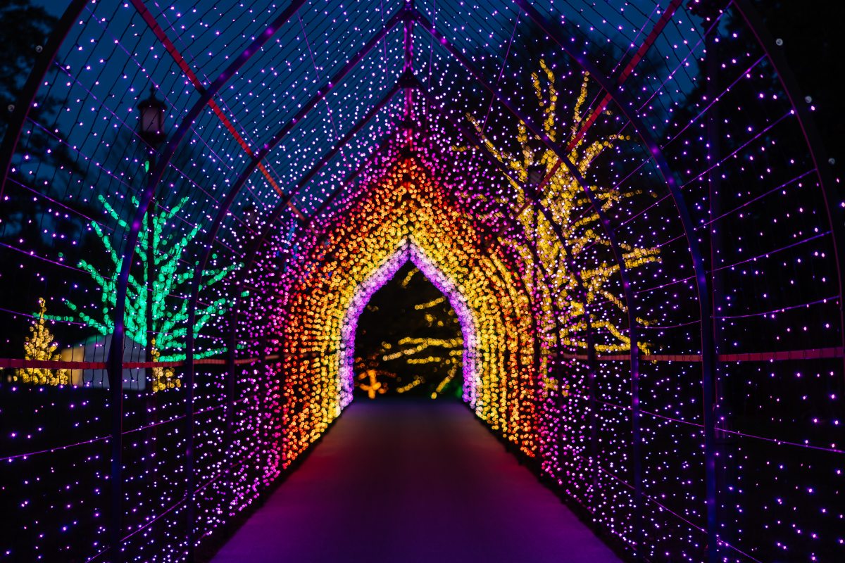 The Art Behind the Lights | Longwood Gardens