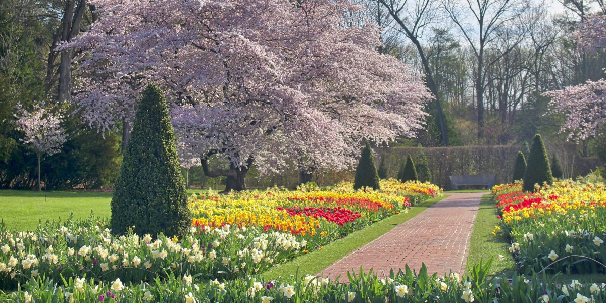 Longwood Gardens’ Spring Blooms on View March 28–May 4, 2025 | Longwood ...