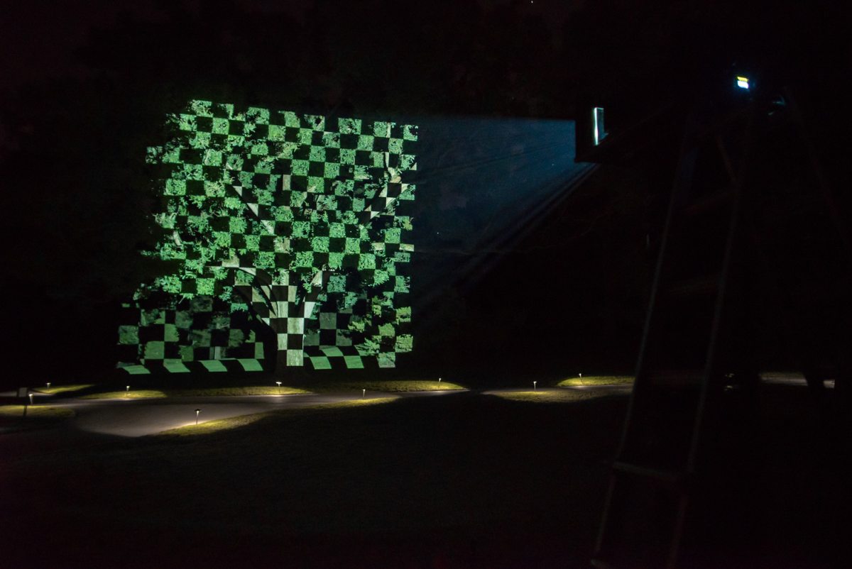 Nightscape: The Art of Projection Mapping | Longwood Gardens