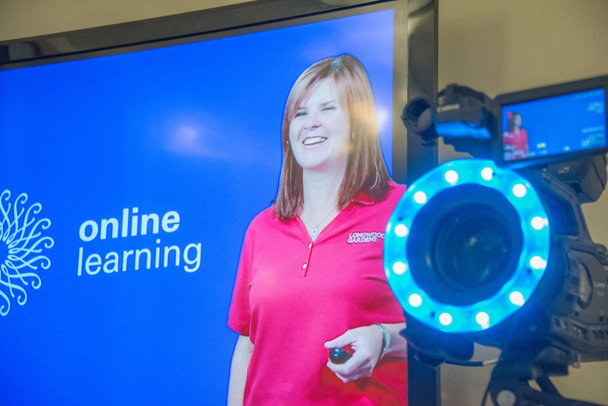 Lights, Camera, Learning | Longwood Gardens