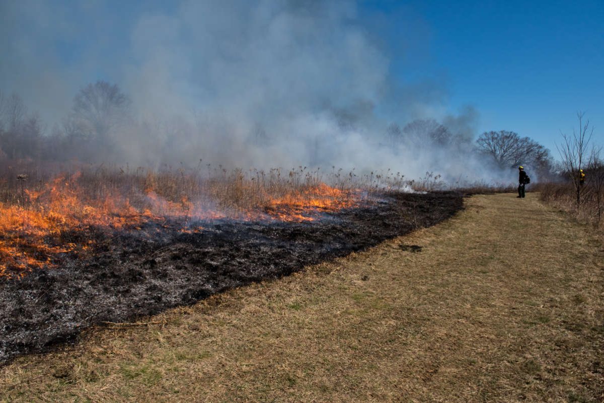 Mind Over Matter: Stewarding Lands Under Fire | Longwood Gardens