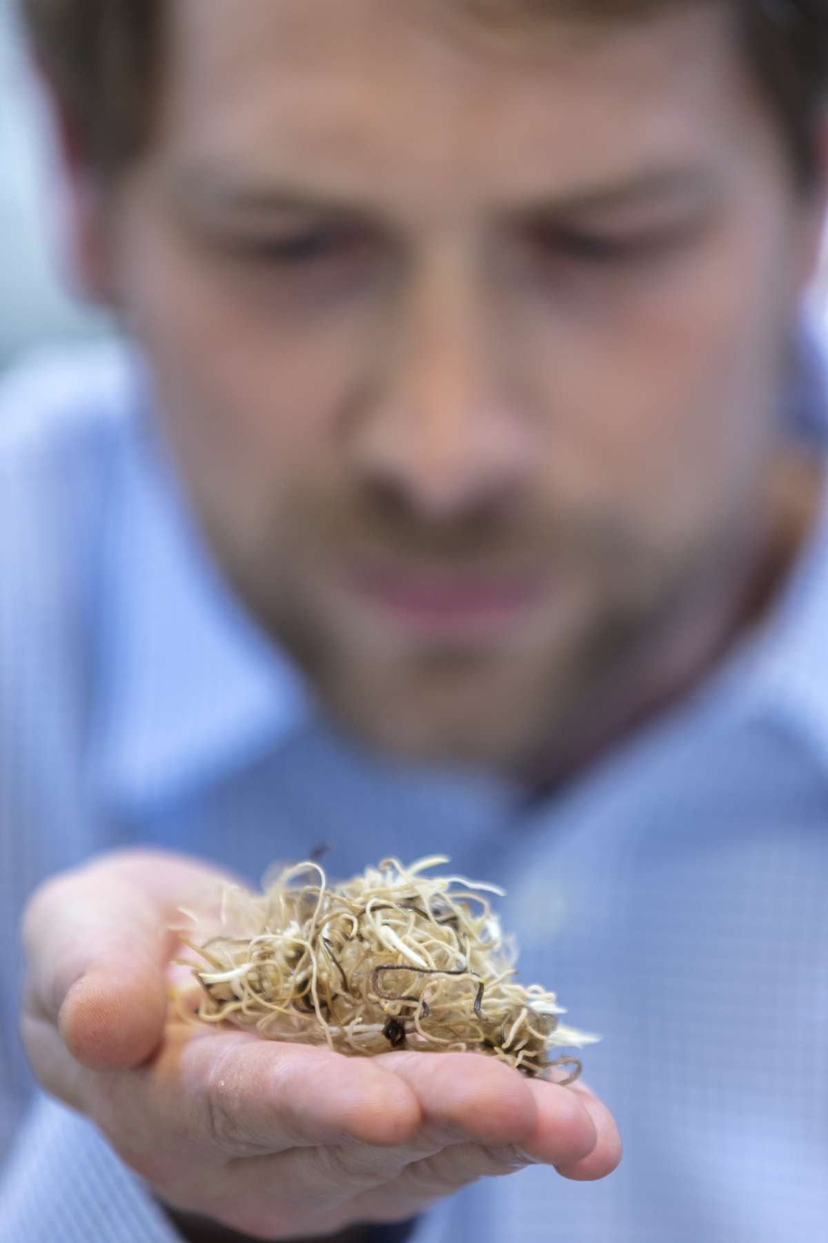 Resilience, Down to a Science | Longwood Gardens