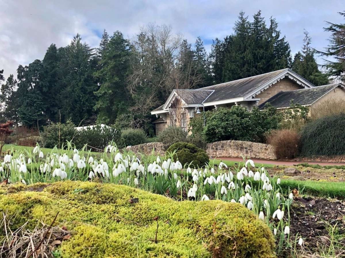 Our Fellows Reflect | Longwood Gardens