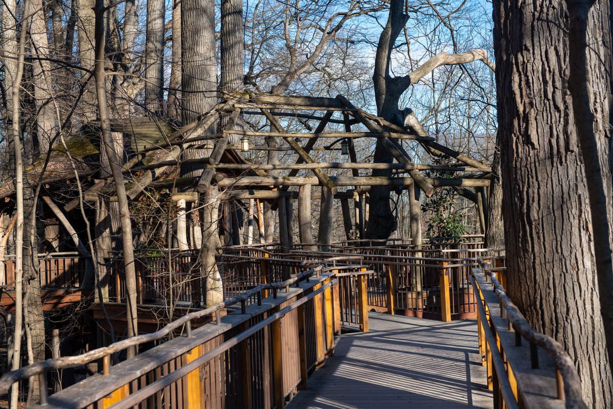 Telling the Inside Story | Longwood Gardens