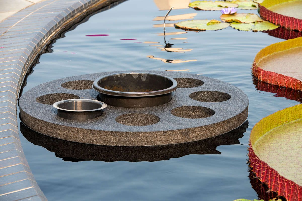 Floating Ideas on Our Floating Islands | Longwood Gardens