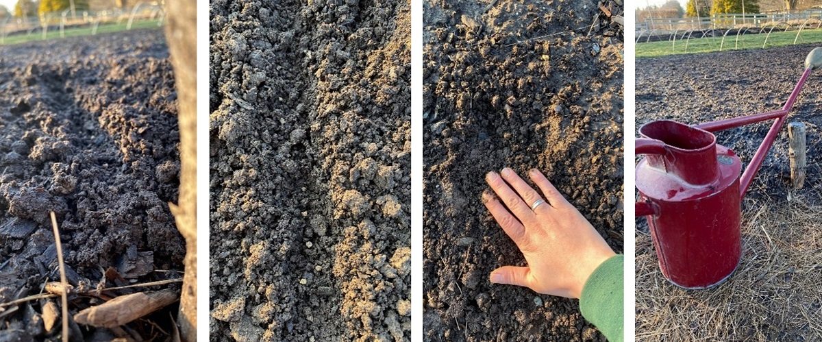 How to Grow Early Spring Vegetables | Longwood Gardens