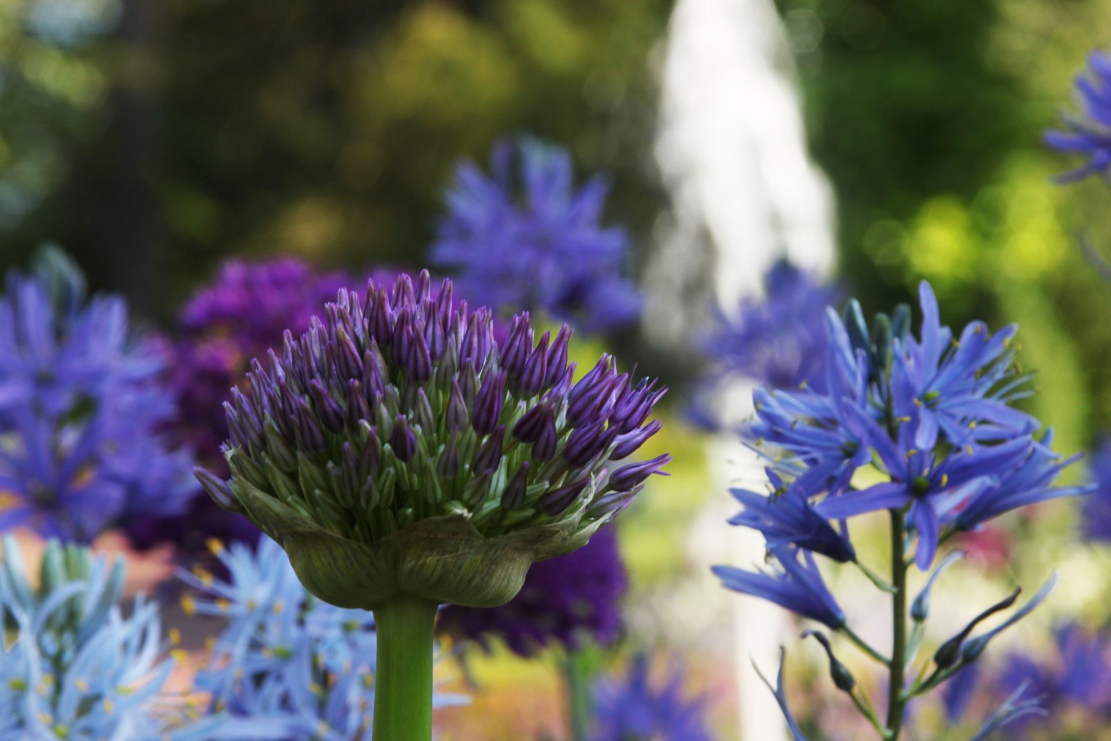 A Fresh Spring Mix | Longwood Gardens