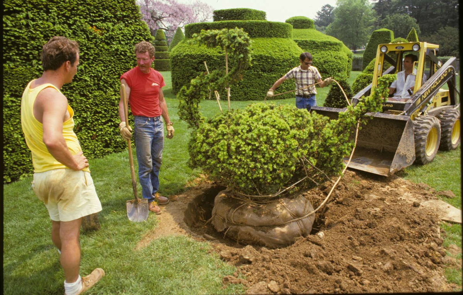 A Labor of Love: The Topiary Garden | Longwood Gardens