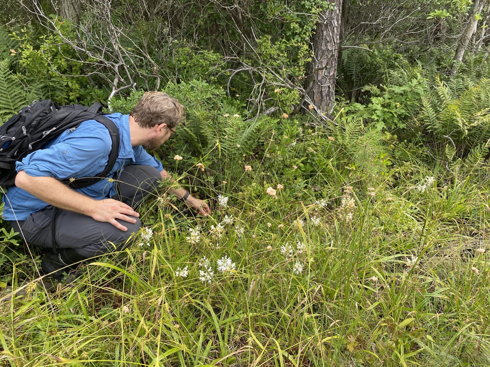 Plant Exploration | Longwood Gardens