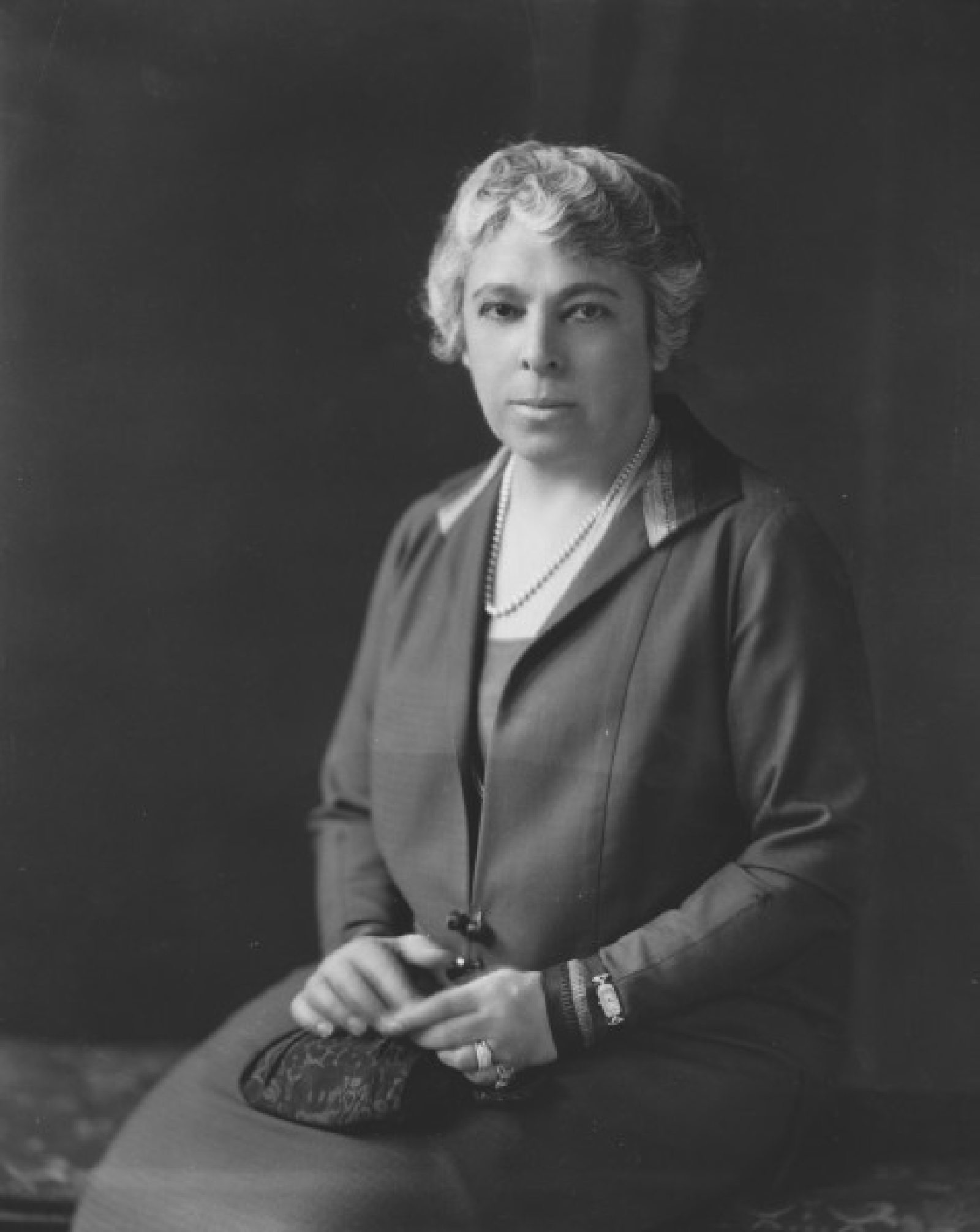 The Gift of Orchids at Longwood Gardens | Longwood Gardens