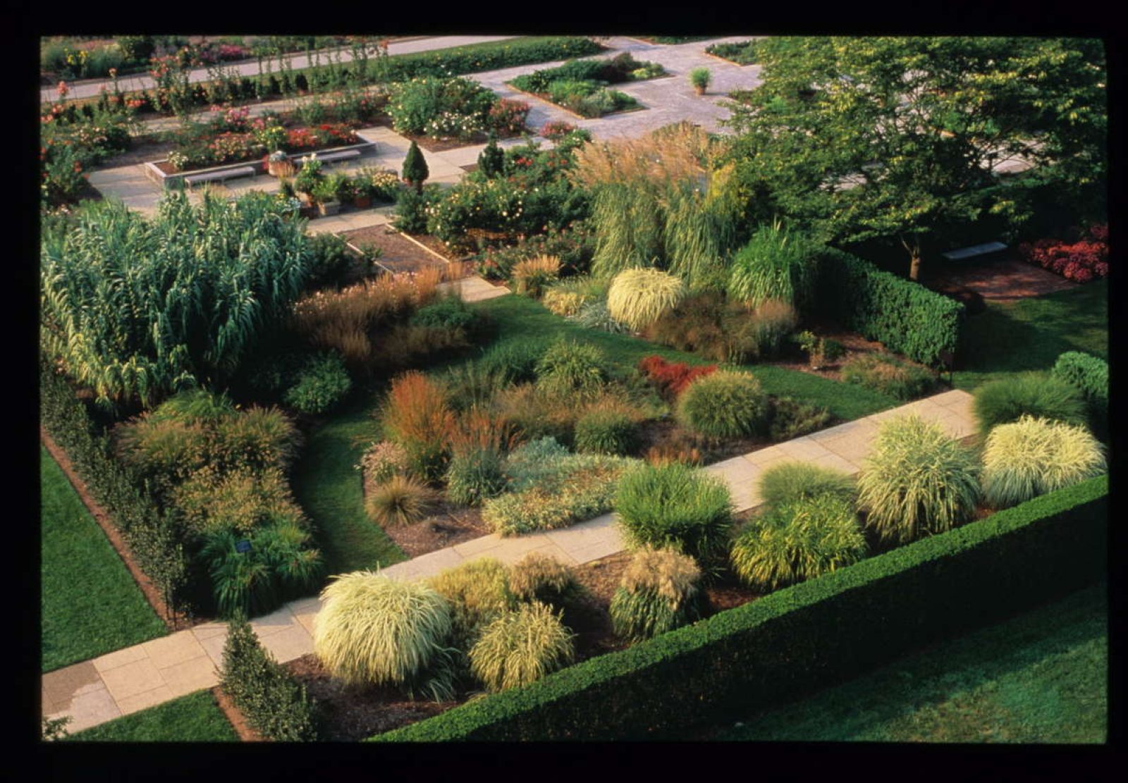Our New Combination Garden | Longwood Gardens