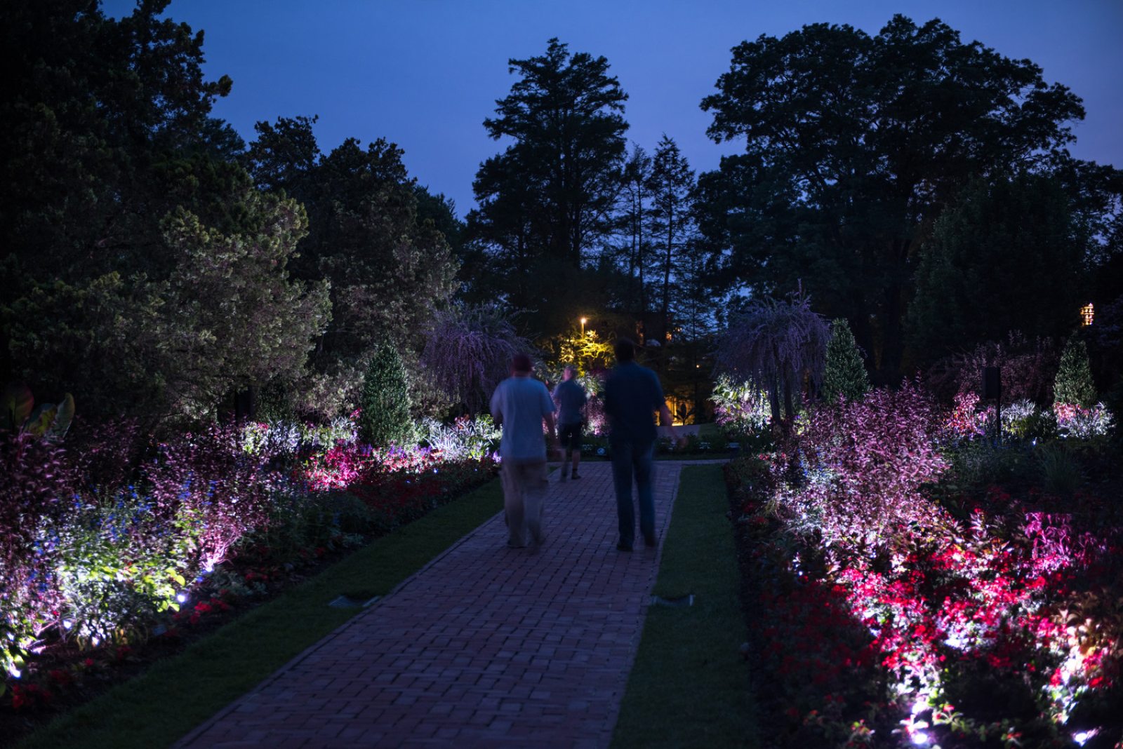 Nightscape: Designing an Experience | Longwood Gardens