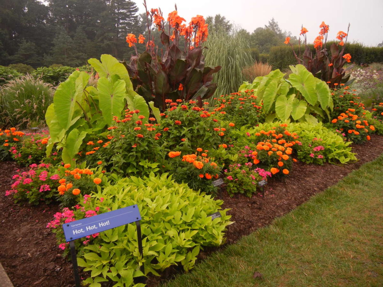 Our New Combination Garden | Longwood Gardens