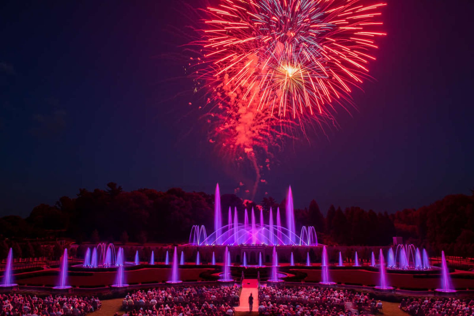 Flowers in the Sky | Longwood Gardens