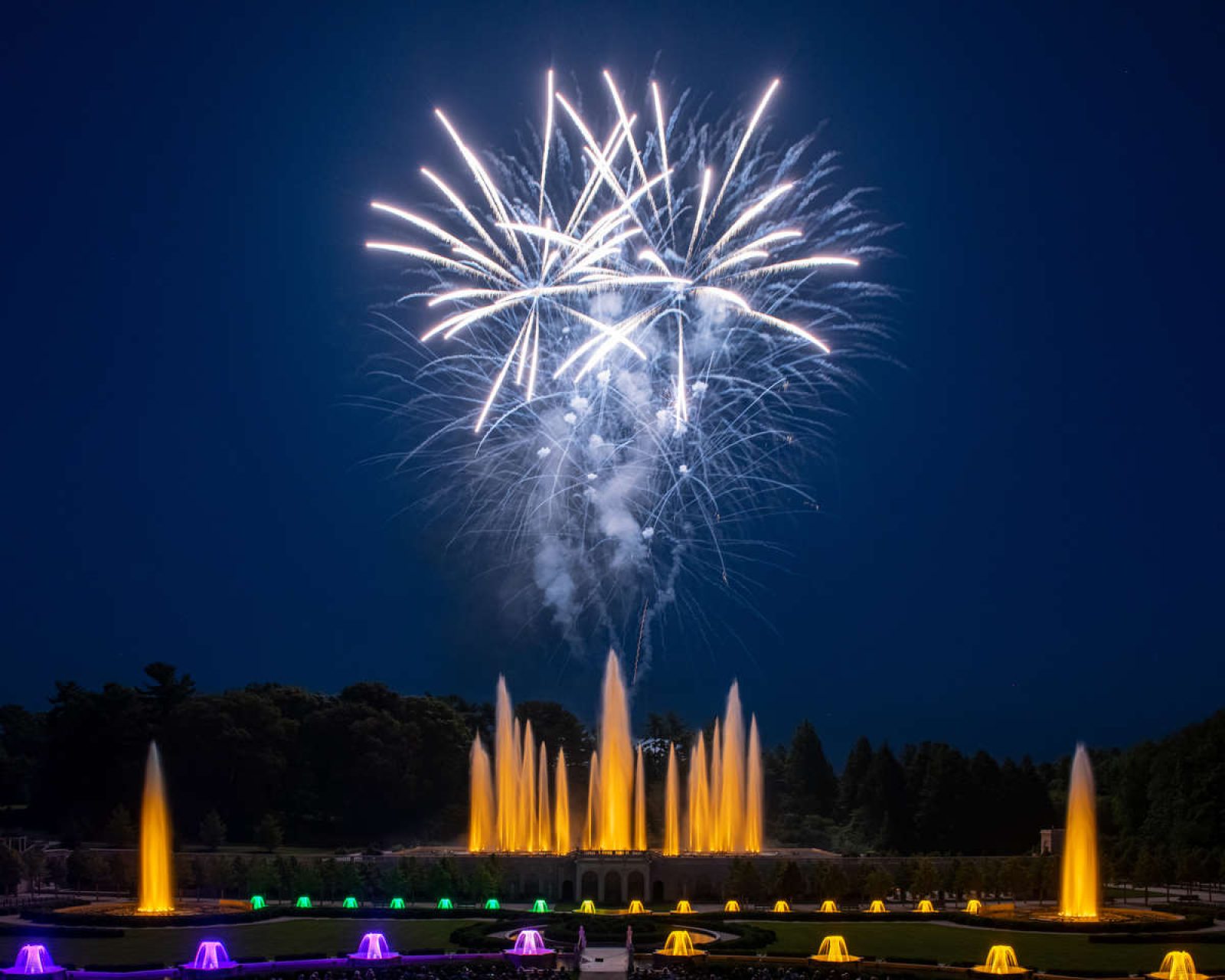 Flowers in the Sky | Longwood Gardens