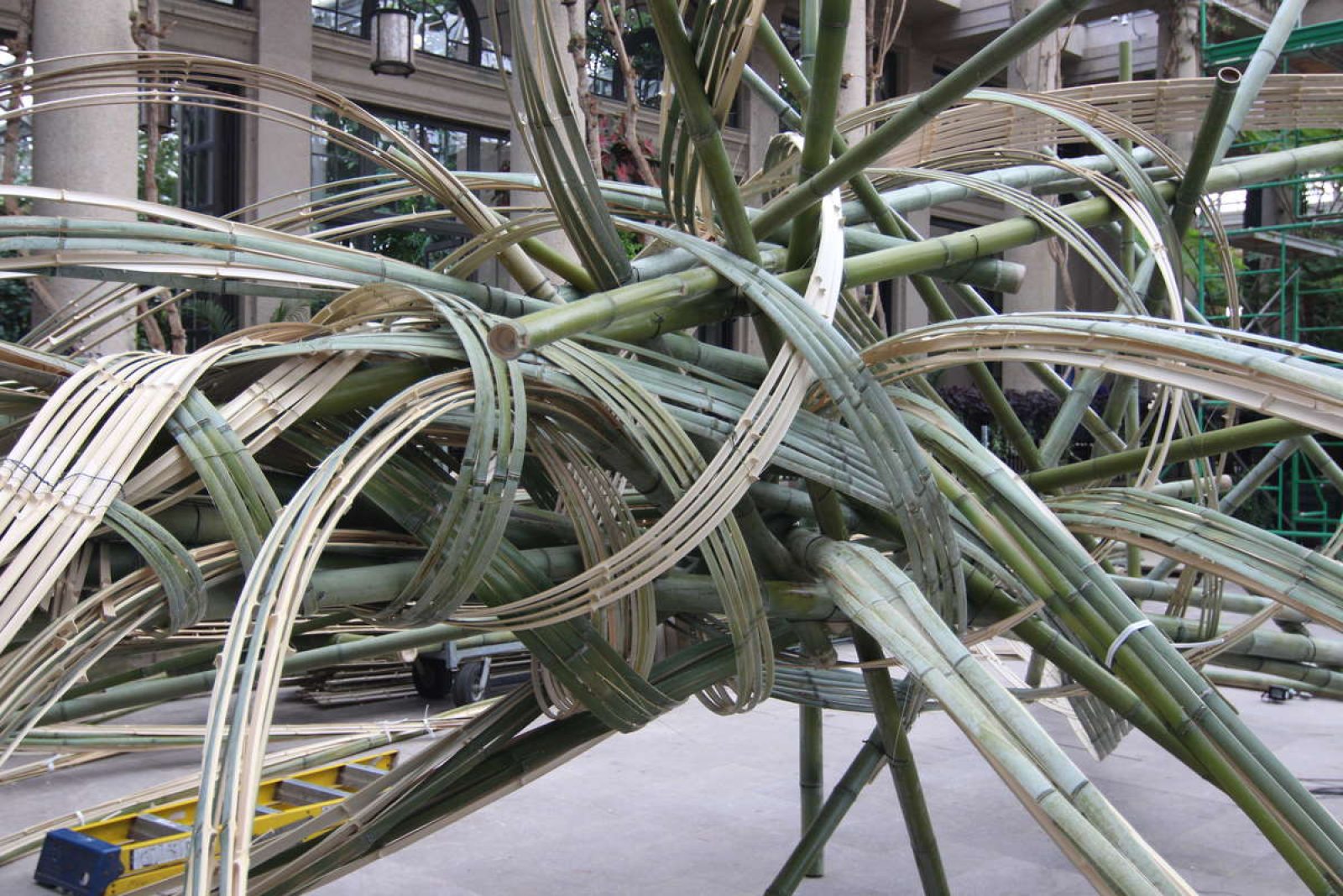 The Making of Blooms & Bamboo | Longwood Gardens