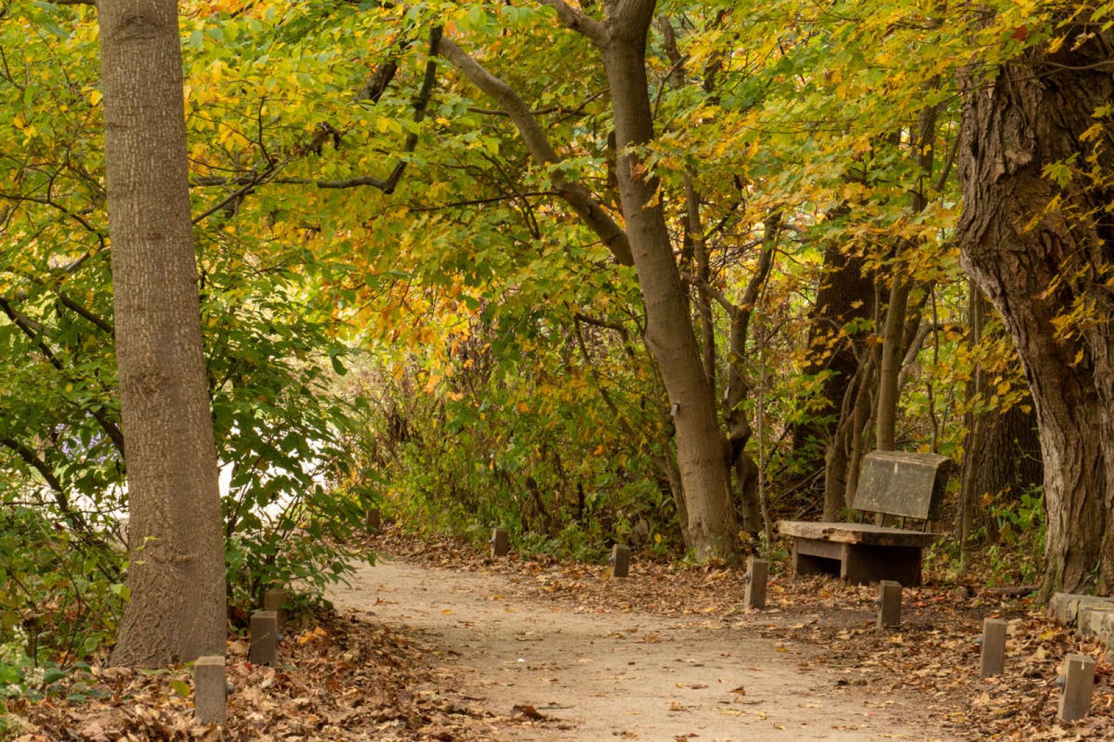 How to Turn Fallen Leaves into Springtime Mulch | Longwood Gardens