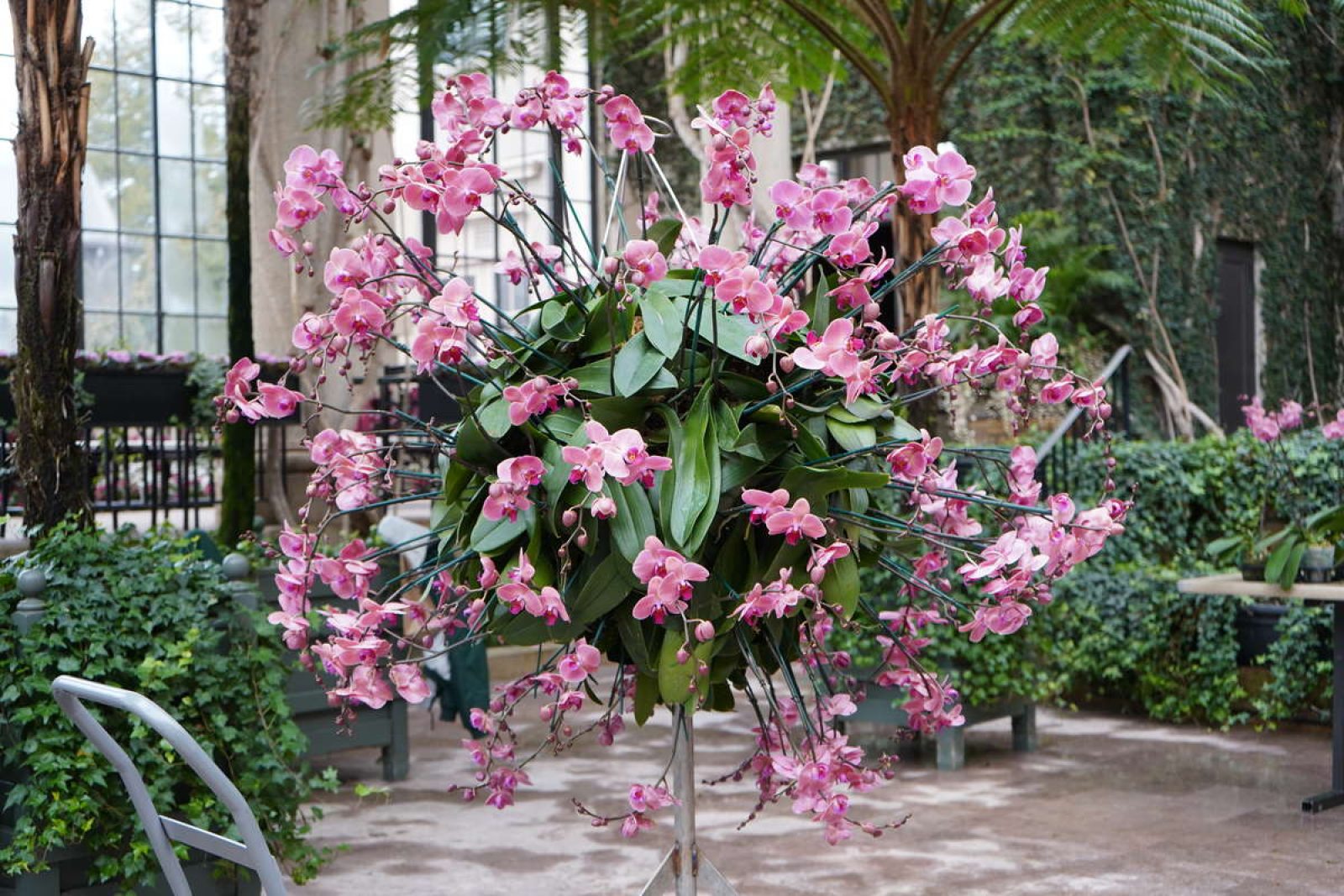 Crafting an Orchid Orb, Floating on Air | Longwood Gardens