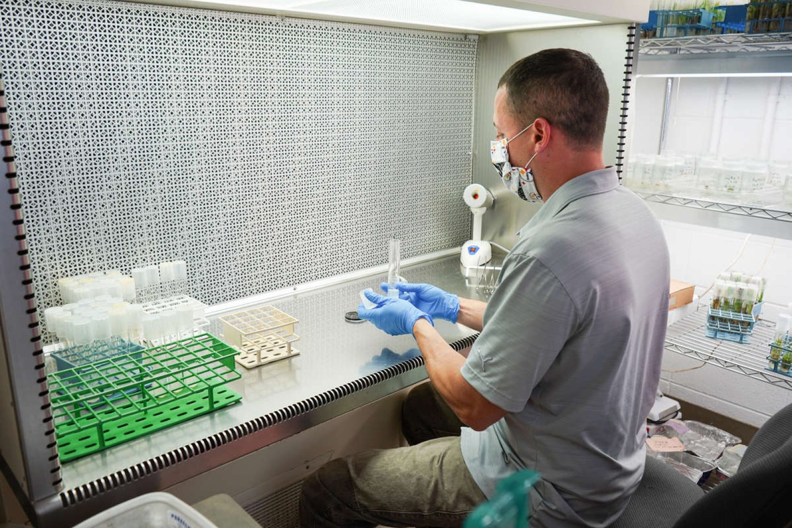 Resilience, Down to a Science | Longwood Gardens