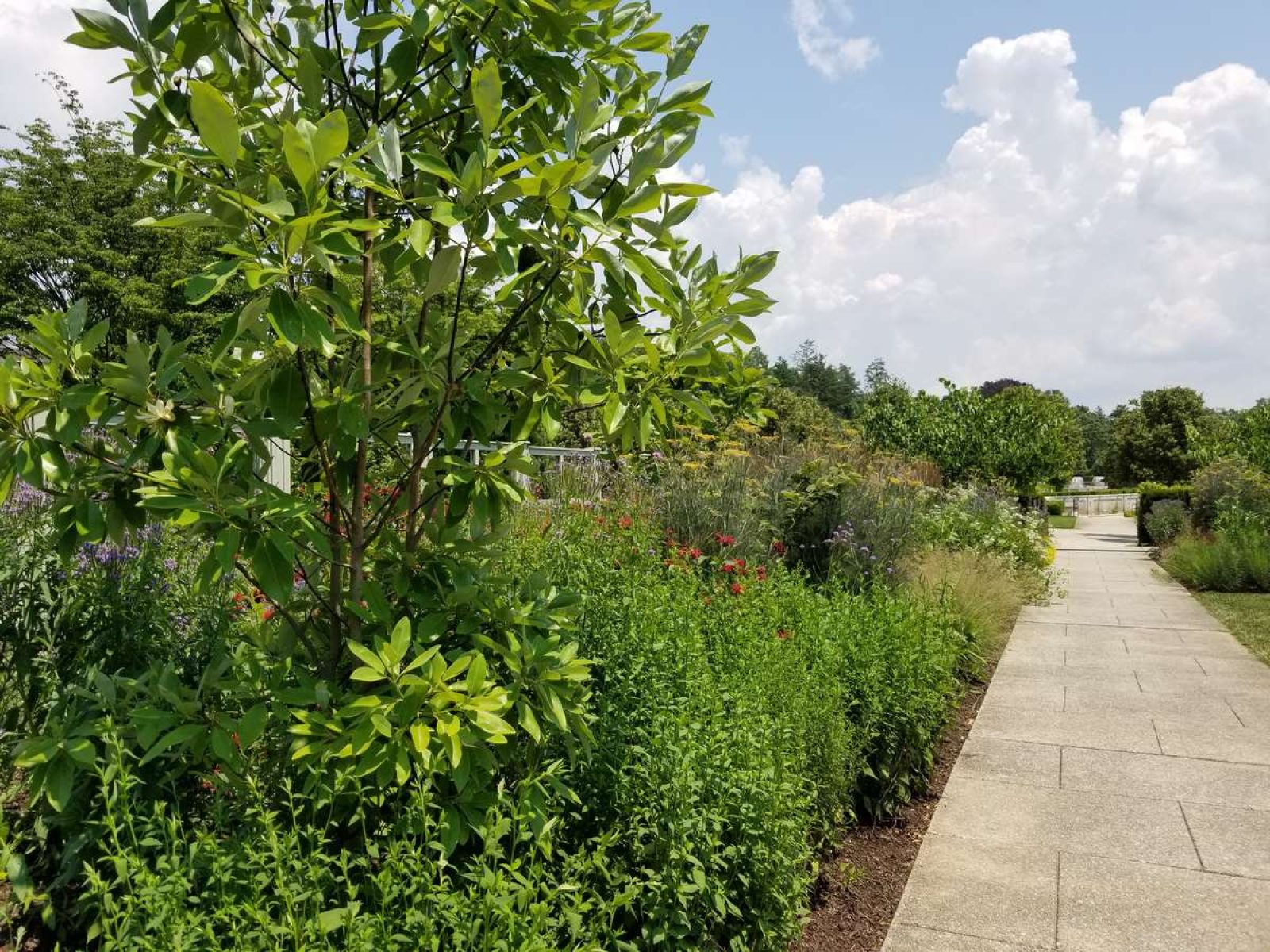 Our New Combination Garden | Longwood Gardens