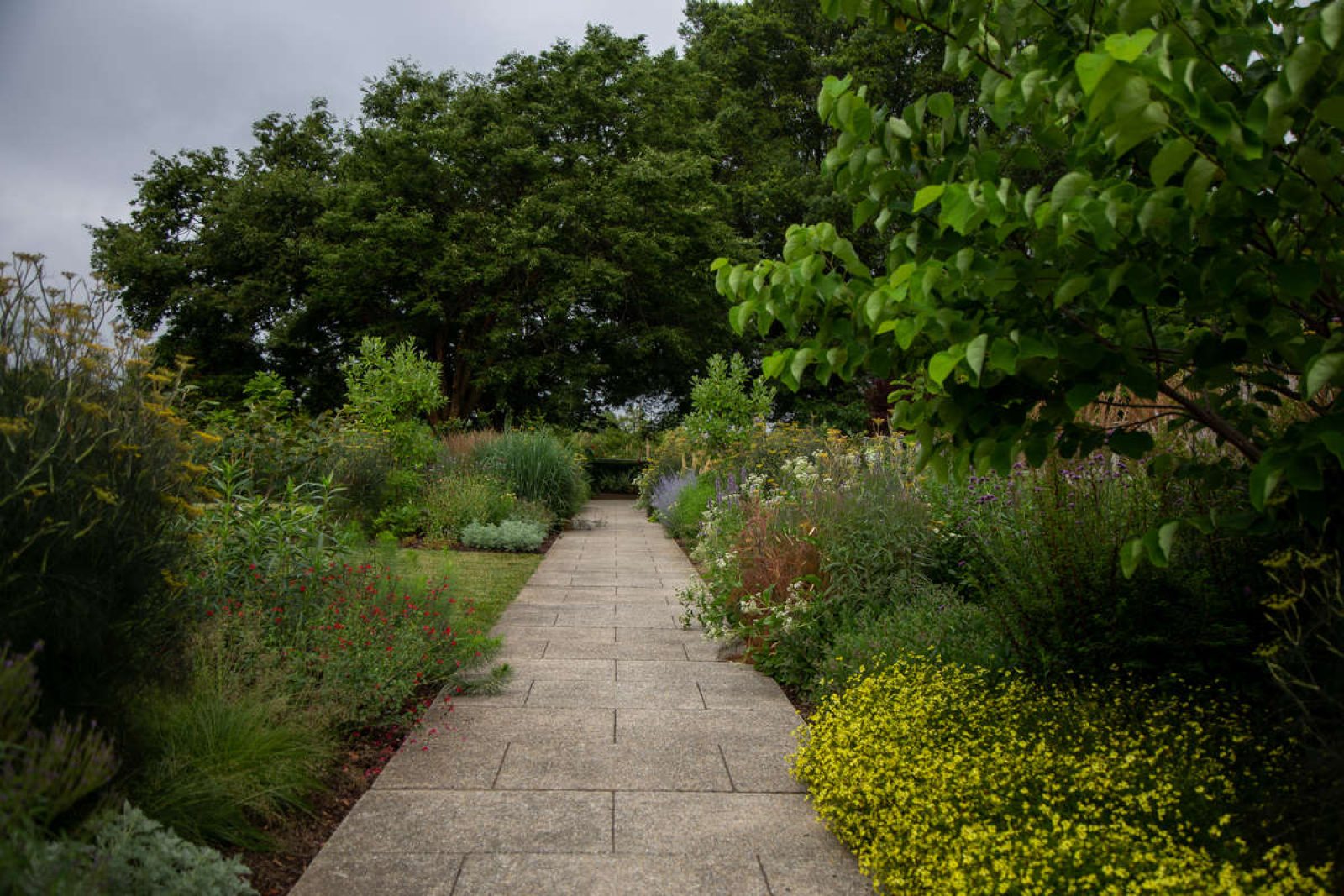 Our New Combination Garden | Longwood Gardens