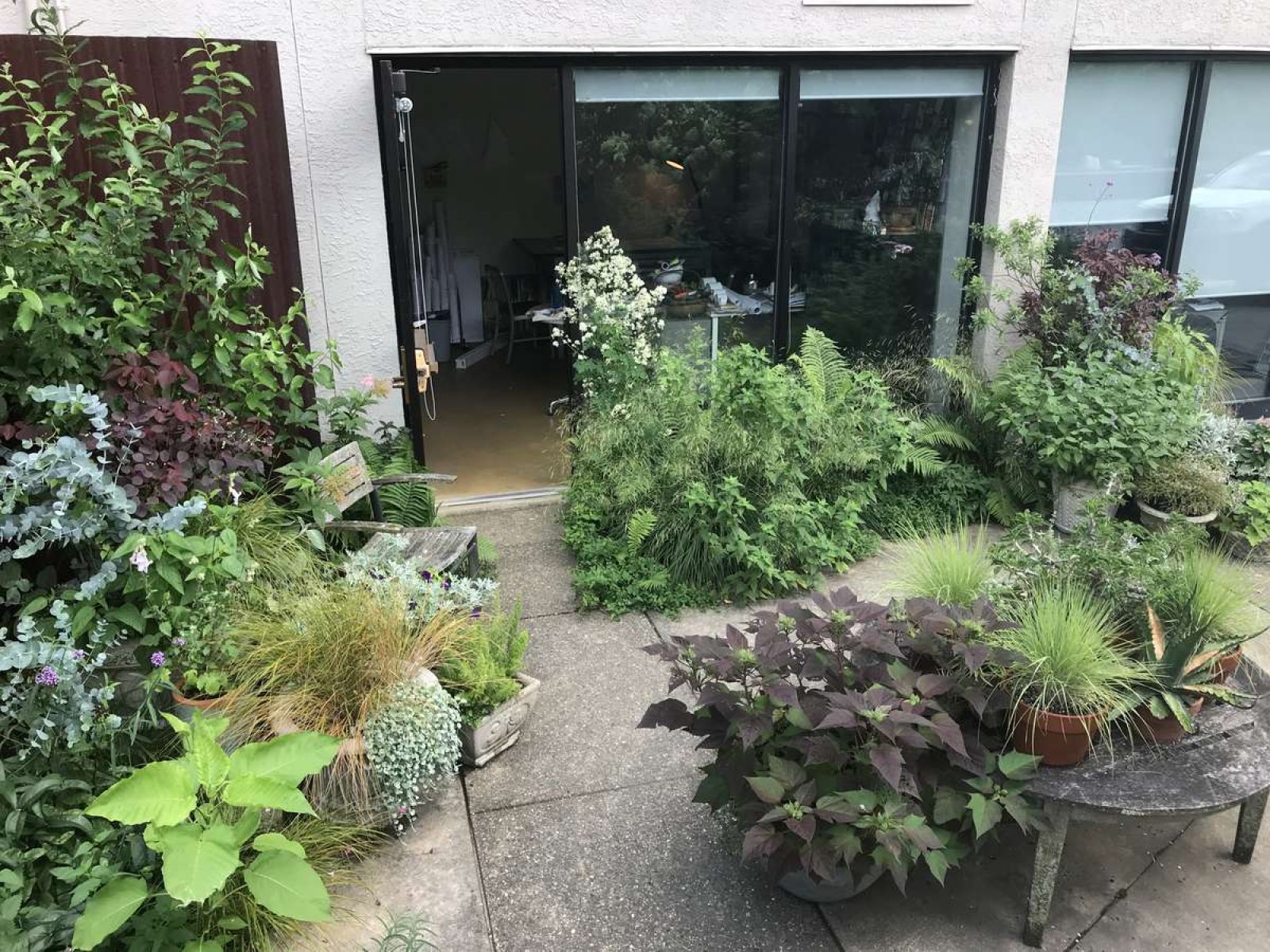 Lessons from the Studio Garden | Longwood Gardens