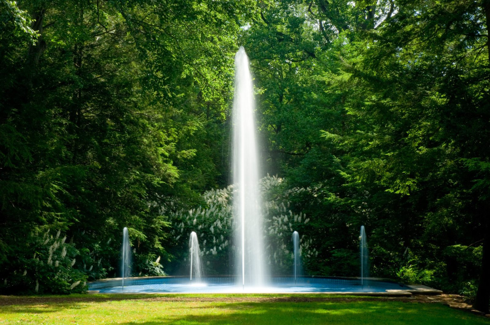 A Flourish of Fountains | Longwood Gardens