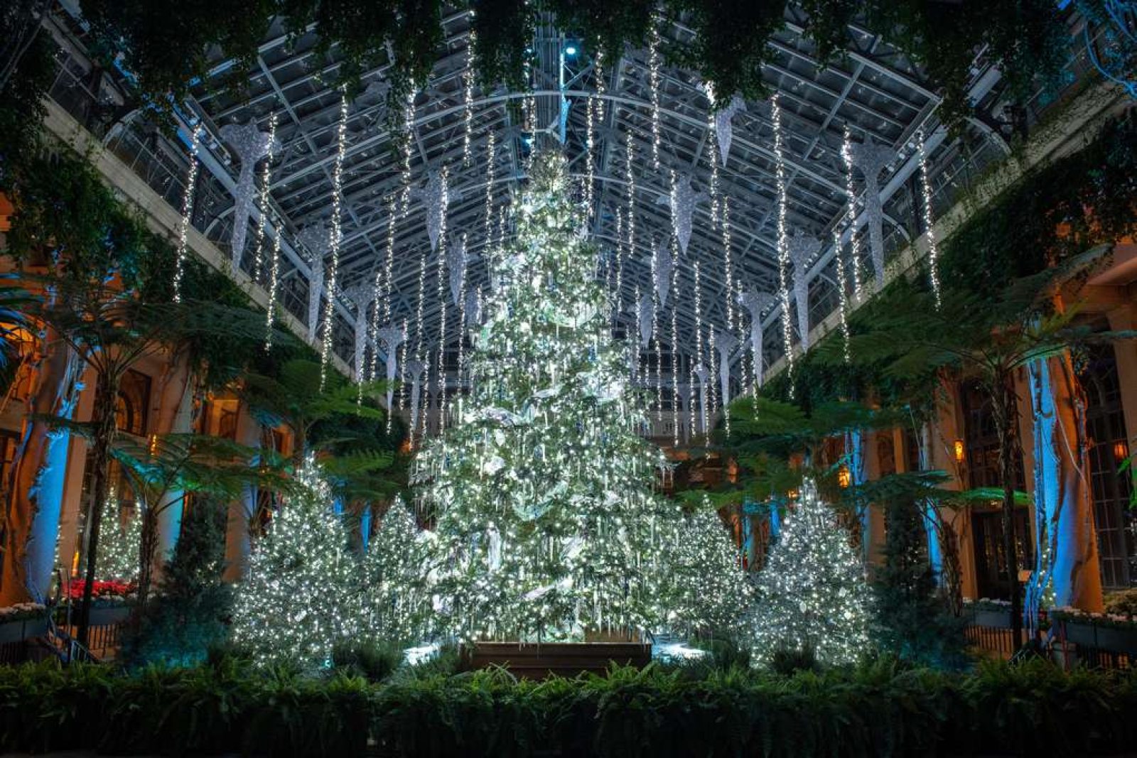 The Art of Alpine | Longwood Gardens