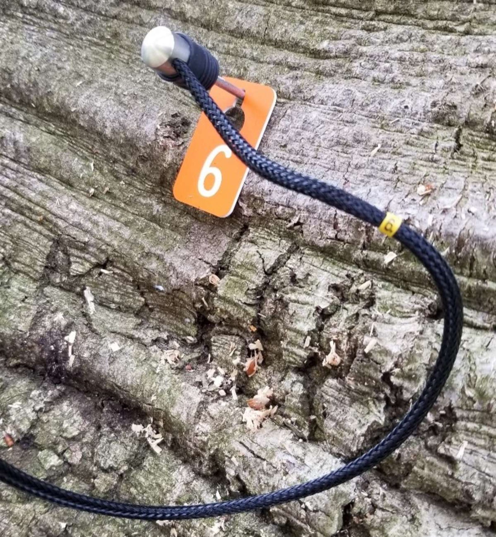 Using Sound Technology to Make Sound Decisions | Longwood Gardens