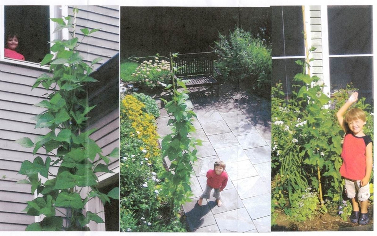 On Meadowview Street: A Family Community Read | Longwood Gardens