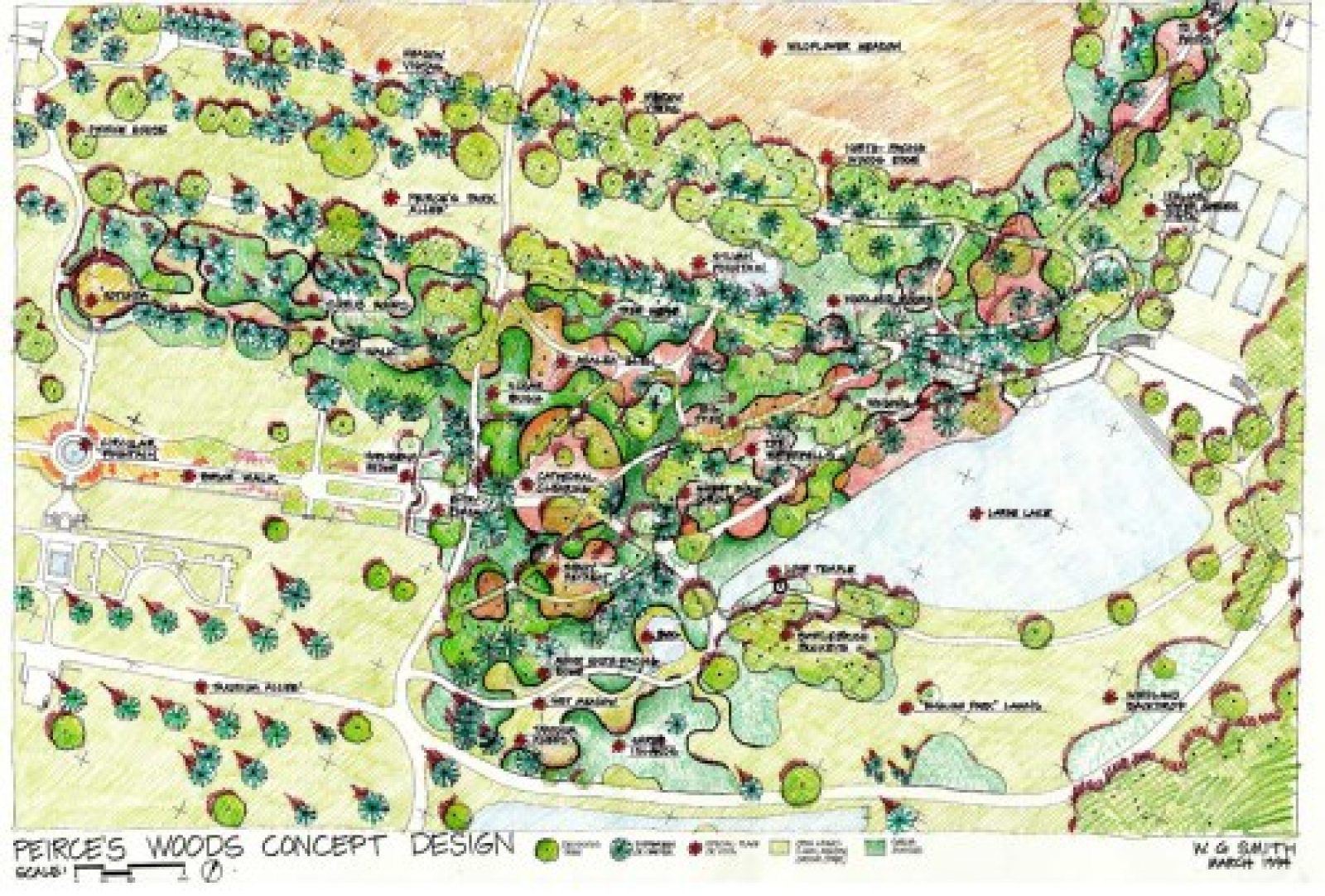 Peirce’s Woods: An Evolving Beauty | Longwood Gardens