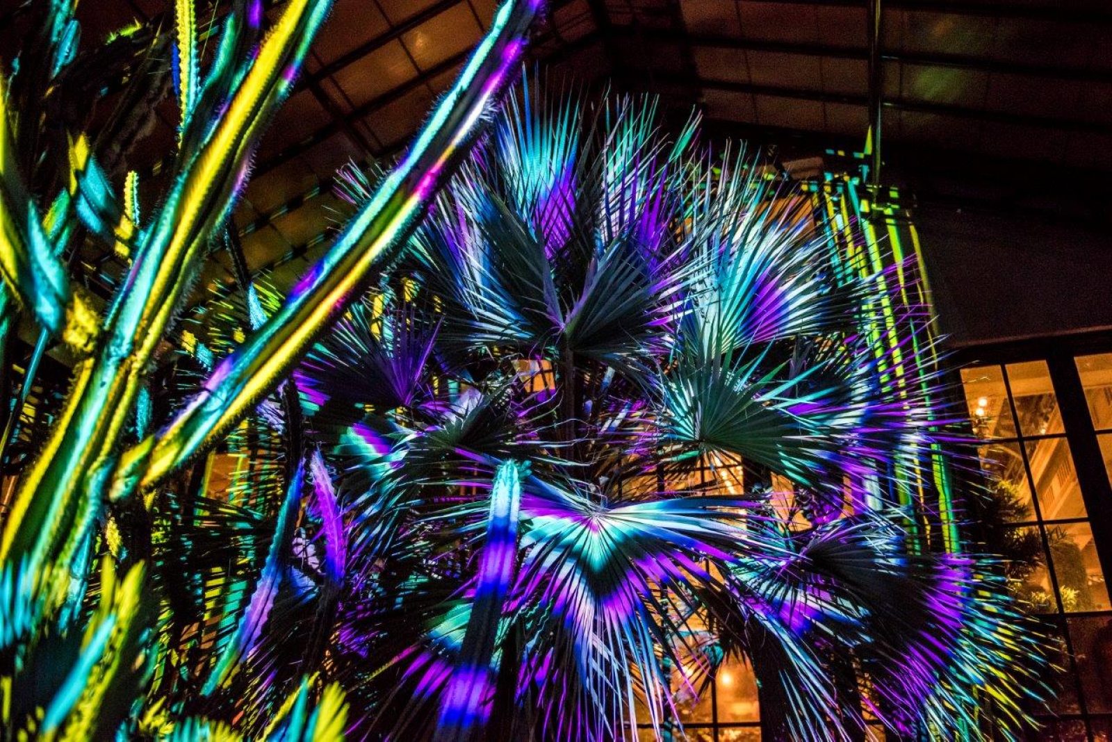 The Nighttime Garden | Longwood Gardens