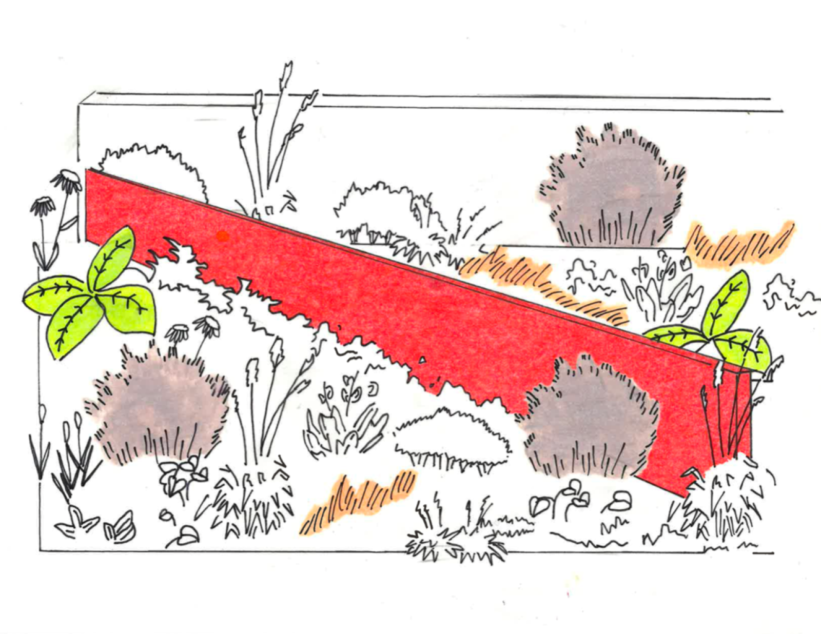 Seeds of Inspiration | Longwood Gardens