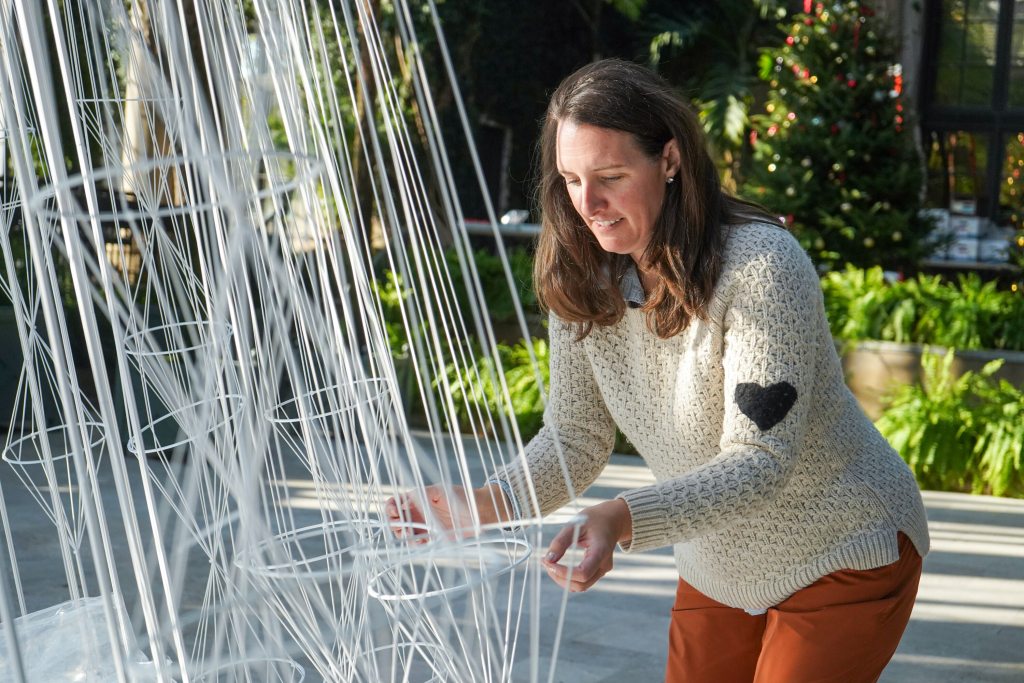 A Translucent Tree, A Work of Art | Longwood Gardens