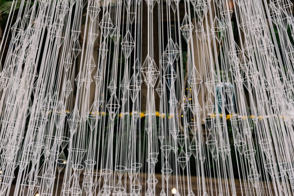 A Translucent Tree, A Work of Art | Longwood Gardens