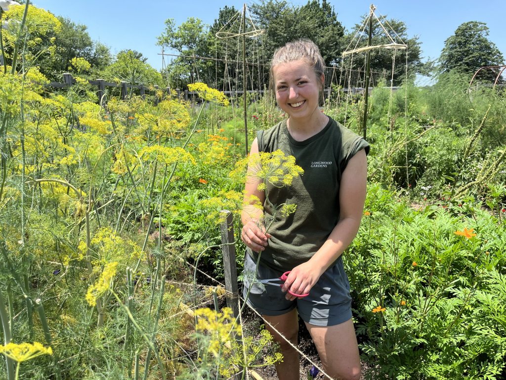 A Fresh Cut | Longwood Gardens